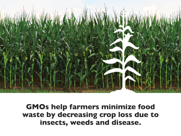 GMOs and Food Waste
