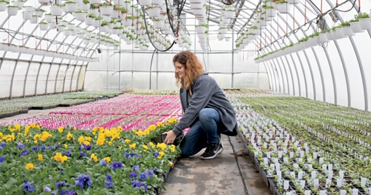 How One Cook County Farm is Highlighting Sustainability - Illinois Farm ...