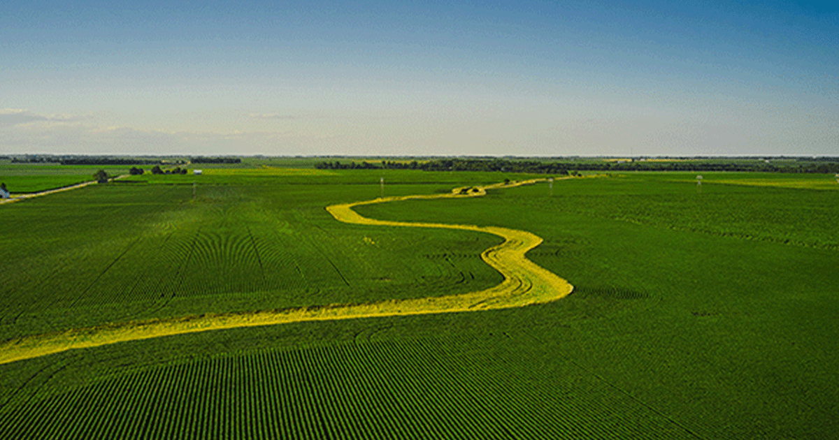How Illinois farmers help the environment | Illinois Farm Families